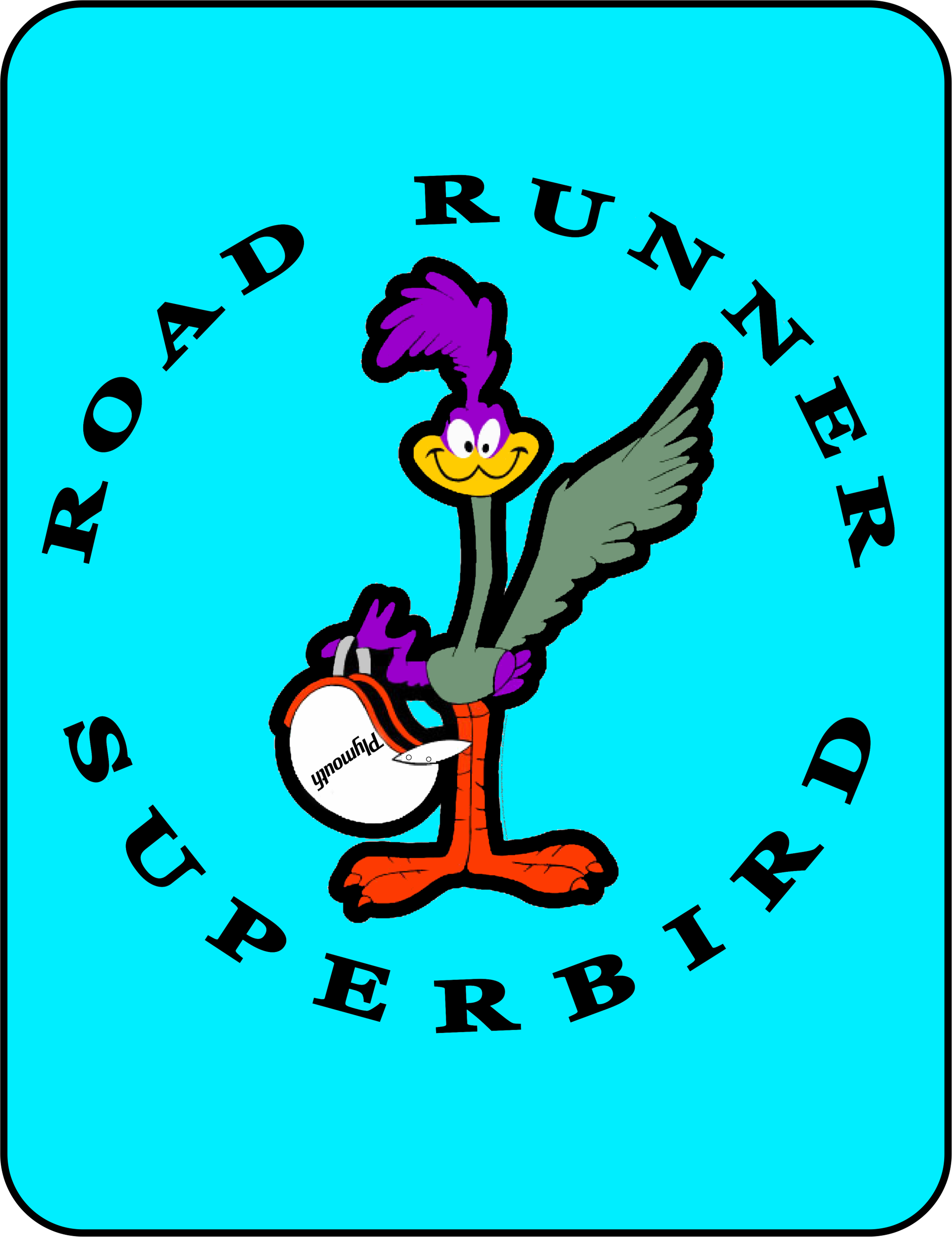 Road Runner Superbird Logo 1970 Plymouth Roadrunner Superbird 440+6